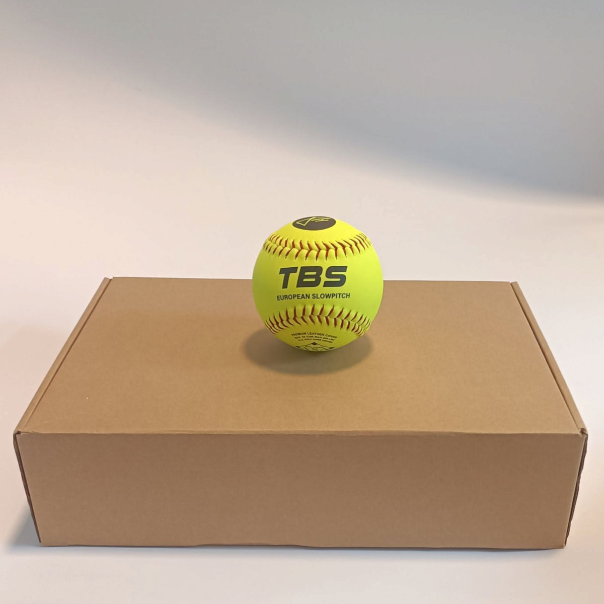 12 x Official Slowpitch Softballs 12 inch (Mens) – The Baseball Shop